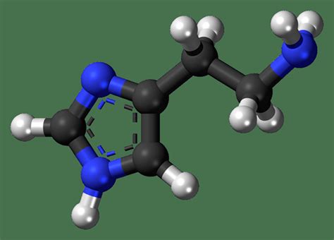 Quelle Est La Différence Entre Lhistidine Et Lhistamine Prodiffs