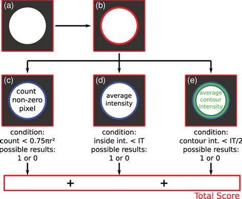 Particle Verification Process A Initial Image B Circle Detection Download Scientific
