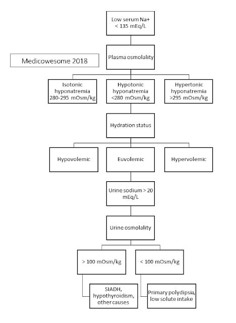 Medicowesome Euvolemic Hyponatremia Algorithm