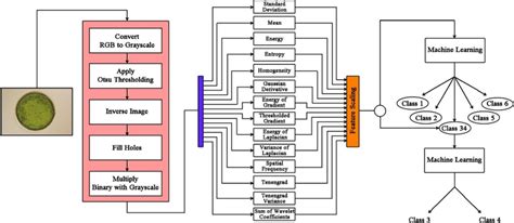 The Flow Chart Of The Developed Algorithm Download Scientific Diagram