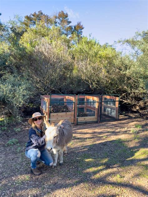 How To Build A Compost Bin Step By Step Guide With Photos Homestead And Chill