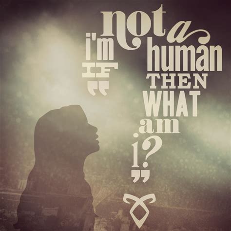 Mortal Instruments Series Quotes Quotesgram