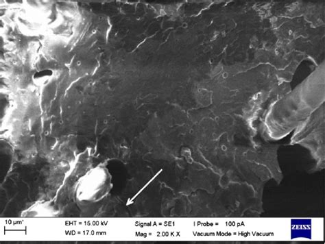 Crack Formation Around Of Fiber Download Scientific Diagram
