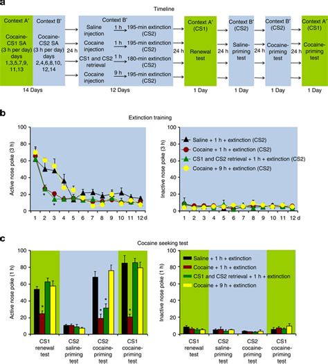 Exposure To The Ucs But Not The Cs Memory Retrieval Extinction