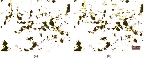 Particle Size Measurement Using An Optical Microscope A Microscopic Download Scientific