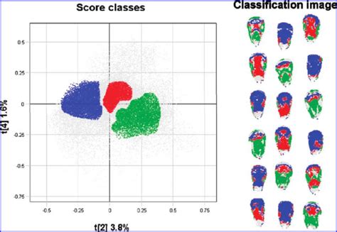 Pca Score Plot Left Of The Second Hyperspectral Image Second Sample