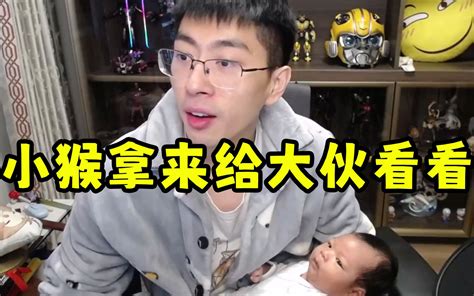 【猴哥】小猴上镜头拉，猴哥一抱就不哭了，猴嫂：这是血脉压制！ 兰林汉的粉丝 兰林汉的粉丝 哔哩哔哩视频