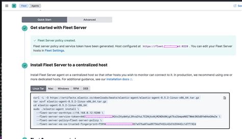 Elastic Agent Problems Following The Documentation Stumbled Upon