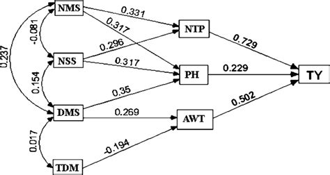 Sequential Path Model Illustrating Interrelationships Among Various