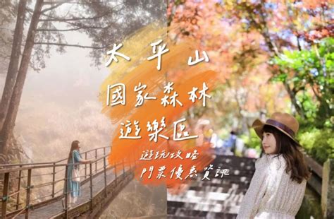 太平山一日遊 推薦太平山國家森林遊樂區景點門票優惠住宿攻略蹦蹦車鳩之澤溫泉翠峰湖見晴懷古步道 LINE旅遊