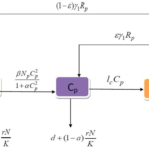 Flow Diagram Of The Logistic Growth Model Download Scientific Diagram
