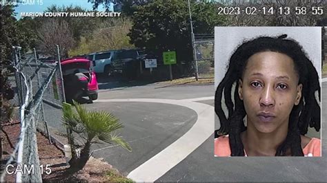 Disturbing Video Appears To Show Florida Woman Throwing Puppies Into