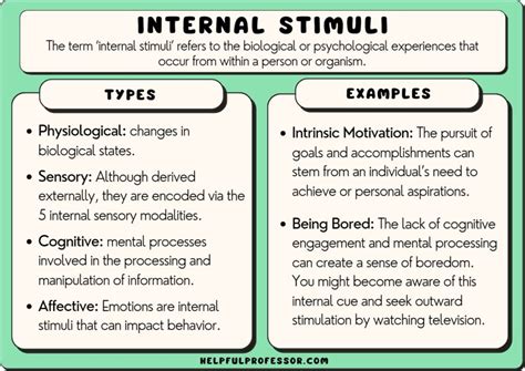 Internal Stimuli Key Examples And Effects