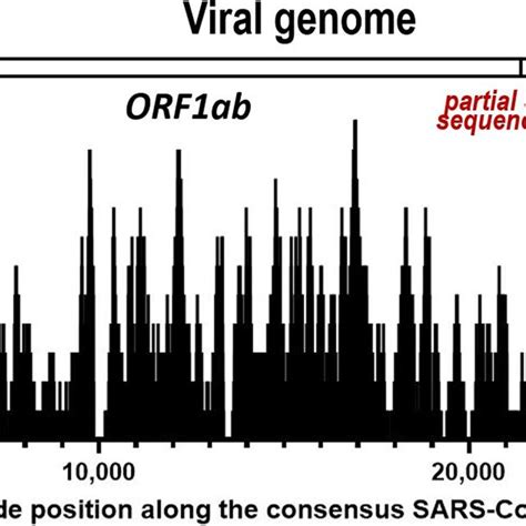 Sars Cov 2 Genomic Coverage Obtained By Next Generation Sequencing Download Scientific Diagram