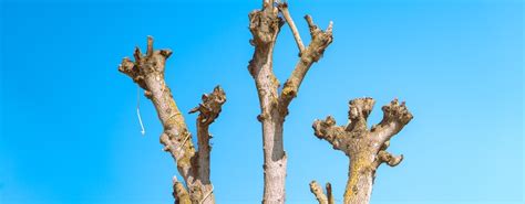 Judge Jury And Executioner Idiom Meaning And Origin The Village Idiom