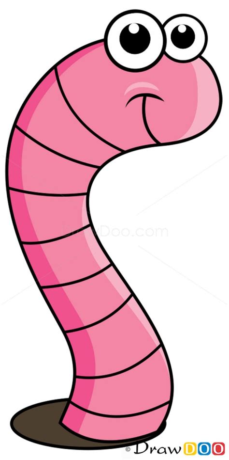 17 Worm Drawing Ideas How To Draw Worm DIYnCrafty