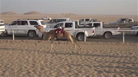 ١٣ بكار مفاريد ١٥٠٠م نوفا علي ناشر الـ رزق Youtube