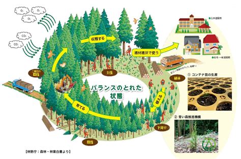 森林環境事業 ファーストプライウッド株式会社 青森プライウッド株式会社