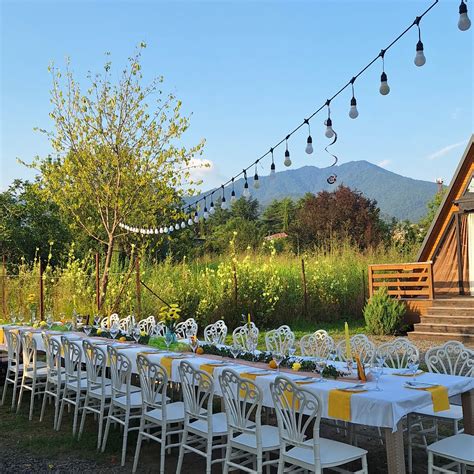 ნინო ხელაშვილი