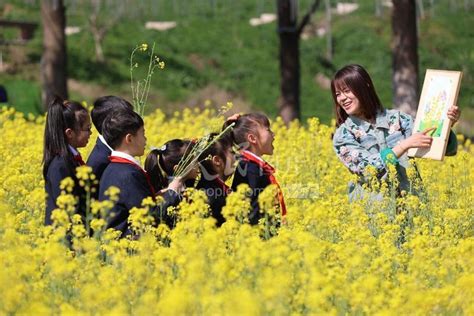 浙江湖州：花田写生绘春光 人民图片网