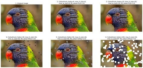 Opencv Tensorflow Pytorch Numpy Albumentations Sanaz Hosseinzadeh