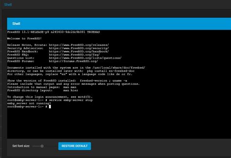 Updated To 48110 On Truenas Core 13 Cant Access Server Freebsd