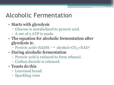 Alcohol Fermentation Equation