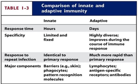 Immunology Innate Immunity Flashcards Quizlet Immunology Innate Immunity Flashcards Quizlet