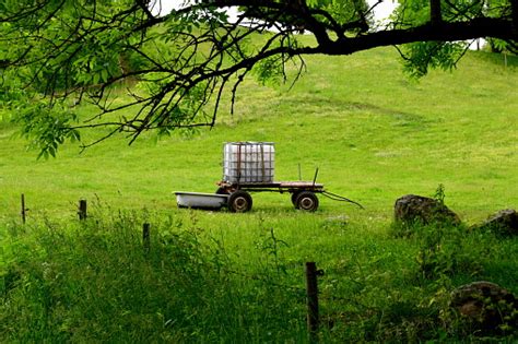 여름에 폴란드 시골에서 발견된 구릉지대 또는 초원의 한가운데에 서 있는 물을 보관하기 위한 고무 바퀴와 커다란 플라스틱 탱크가