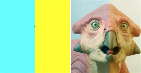 Chromatic Adaptation Adaptations Chromatic Visual