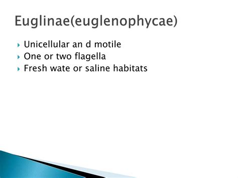 Classification Of Algae 123 Ppt