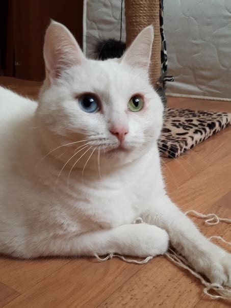 Иваново Не родись красивой а родись счастливой Всем Матильда хороша и красива и умна и