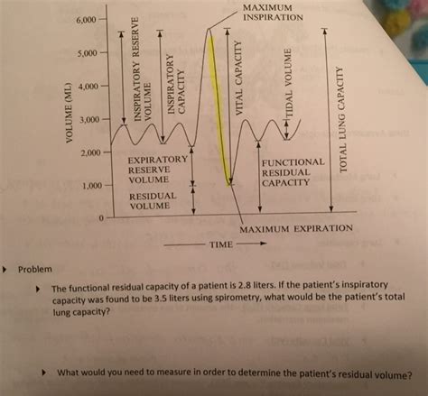 Frc Understanding Functional Residual Capacity Besthealthexpert