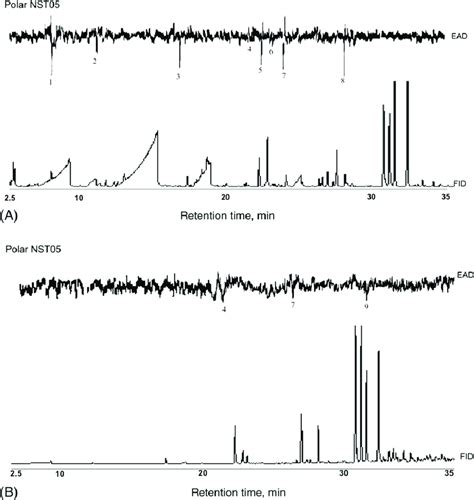 Gas Chromatography Electroantennogram Eag Analysis Using The Antennae