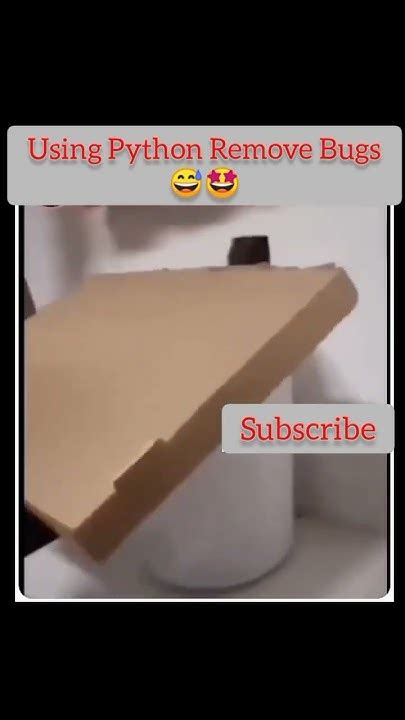 Remove Bugs From Python Funny Comedy Youtube