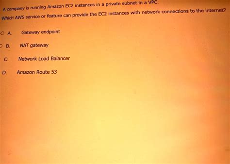 A Company Is Running Amazon Ec2 Instances In A Private Subnet In A Vpc Which Aws Service Or