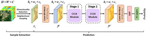 Overview Of The Proposed Litecclknet For Hsi Classification The Download Scientific Diagram