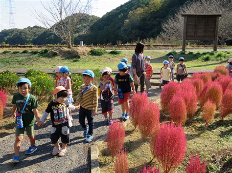 楠浦眼鏡橋散歩 椎の実保育園 ホームページ