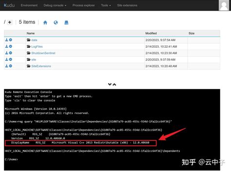 【azure 应用服务】azure App Servicewindows环境中如何让net应用调用sap Netweaver Rfc函数