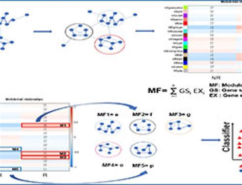 Focus On Rna Secondary Structure Rna Seq Blog