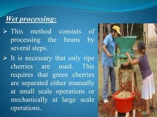 Roasting Cofee Beans PPTX