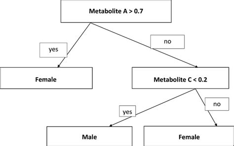 A Simple Decision Tree That Splits The Data Into Two Gender Groups Download Scientific Diagram