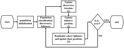 Bioengineering Free Full Text Classification Of Eeg Signals Based On Sparrow Search