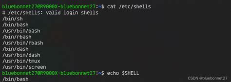 使用oh My Zsh美化linux终端（wsl Ubuntu）（二）wsl美化 Csdn博客
