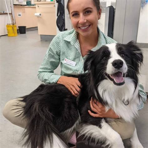 About Us Vetlink Employment Service About Us Vetlink Employment Service