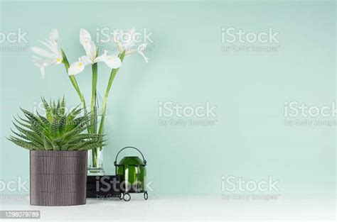 알로에의 녹색 집 촛대 스택 블랙 북 스타일 녹색 민트 Menthe 내부의 봄 흰색 홍채 꽃다발흰색 나무 테이블의 우아한 신선한 홈 장식 0명에 대한 스톡 사진 및 기타