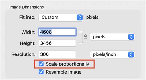 Macos By Tutorials Chapter 13 Adding The Interface Kodeco