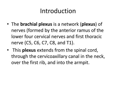 Brachial Plexus Upper Limb Innervationpptx