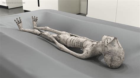 3d Alien Mummy Model Turbosquid 2156996