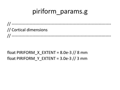 Ppt Vanier Piriform Cortex Model Powerpoint Presentation Free